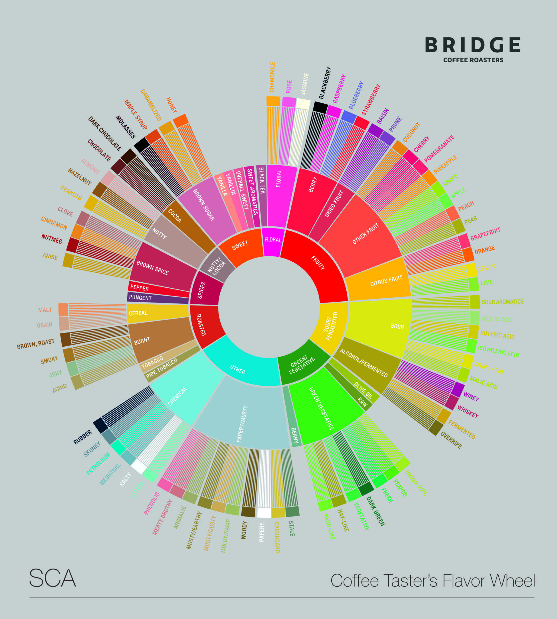 Your guide to using the SCA’s coffee taster’s flavour wheel - Bridge ...