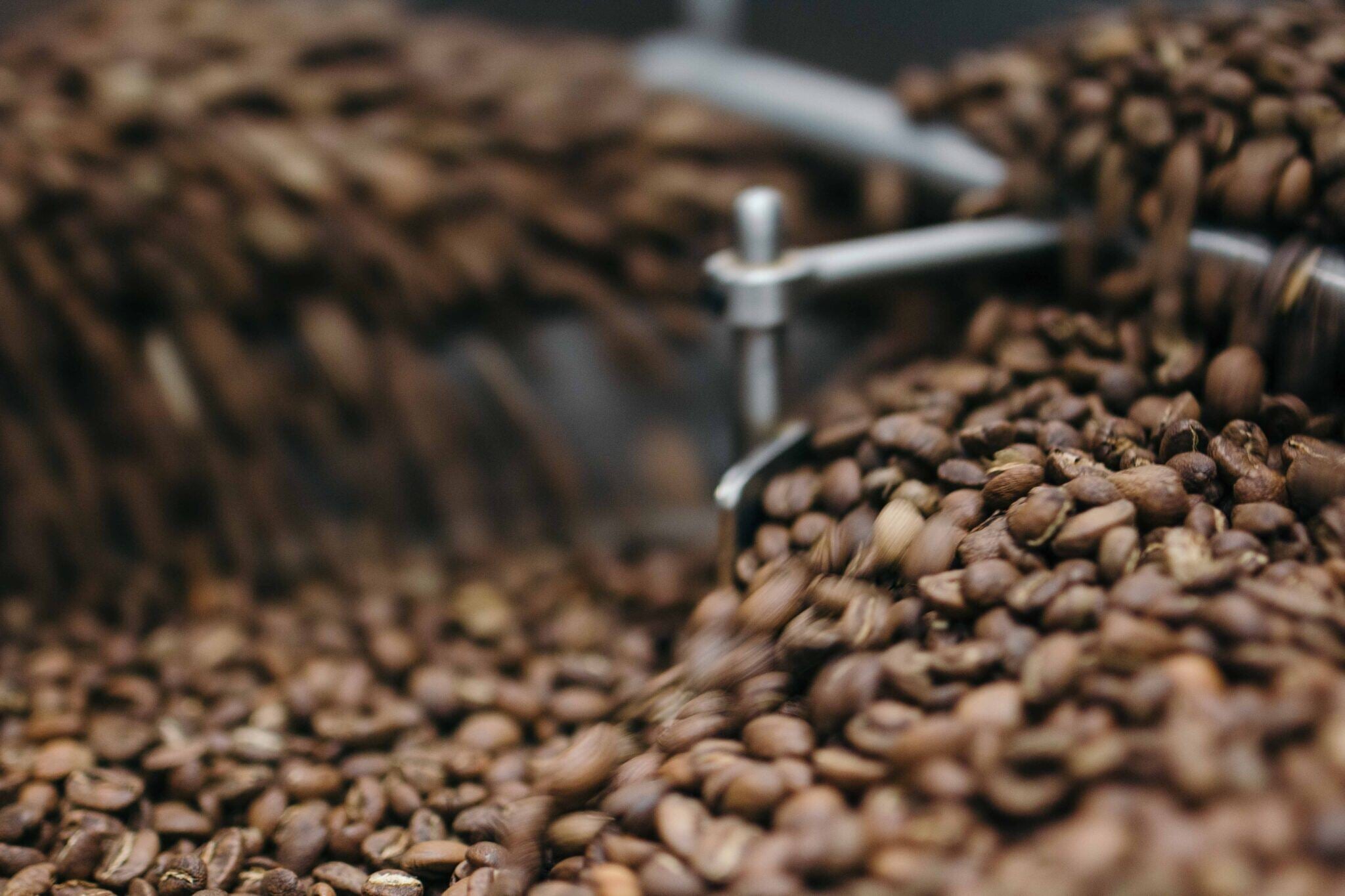 The UK's Top White Label Coffee Roasters, 2026